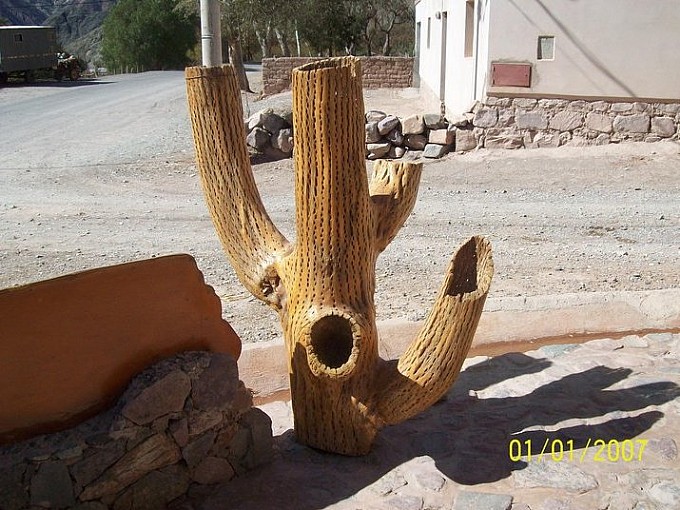 Cardon Seco en Purmamarca