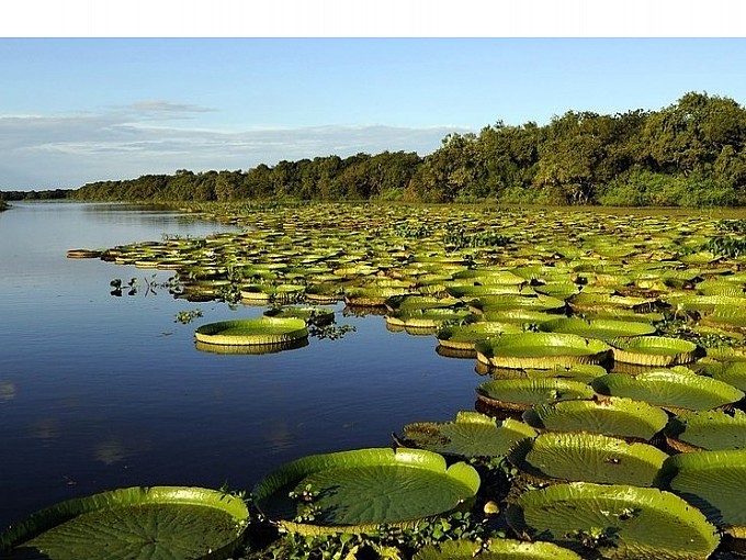 Formosa, ríos, lagunas y bañados para disfrutar - Blog Ruta0.com