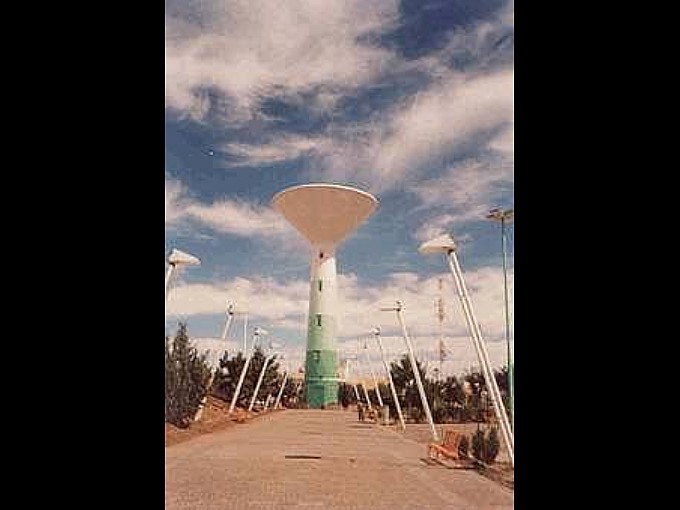 Hongo distribuidor de agua en Pico Truncado